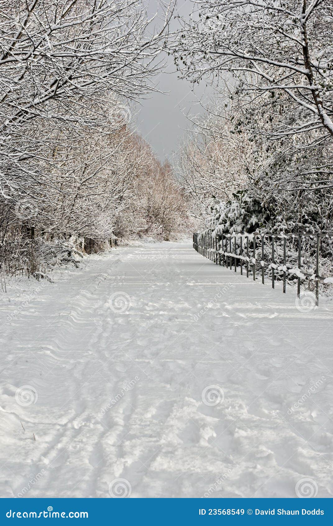 Snow Covered Path stock image. Image of footsteps, path - 23568549