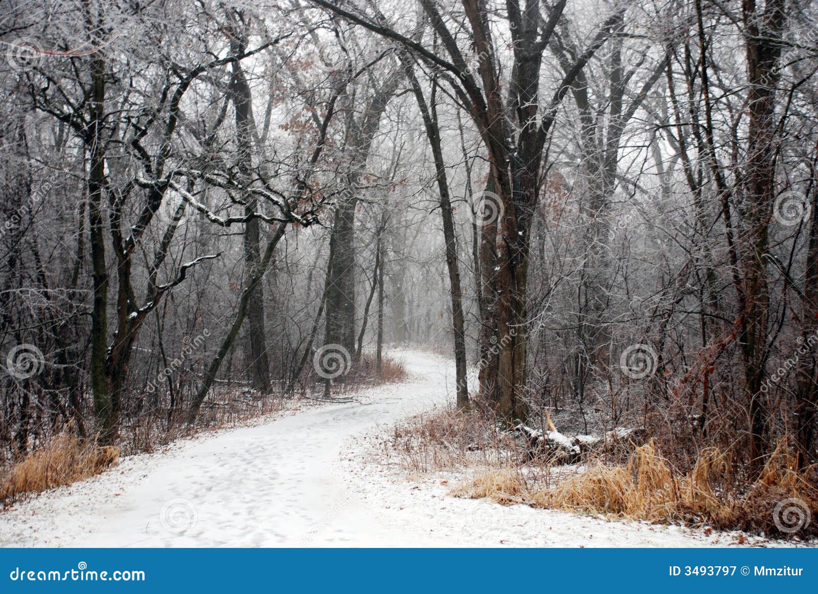 Snow Covered Path stock image. Image of gate, landscape - 3493797