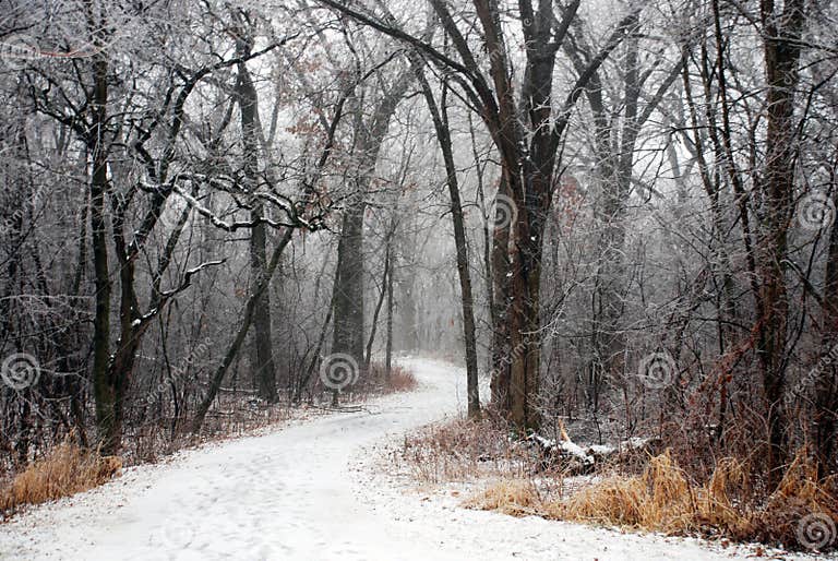 Snow Covered Path stock image. Image of gate, landscape - 3493797