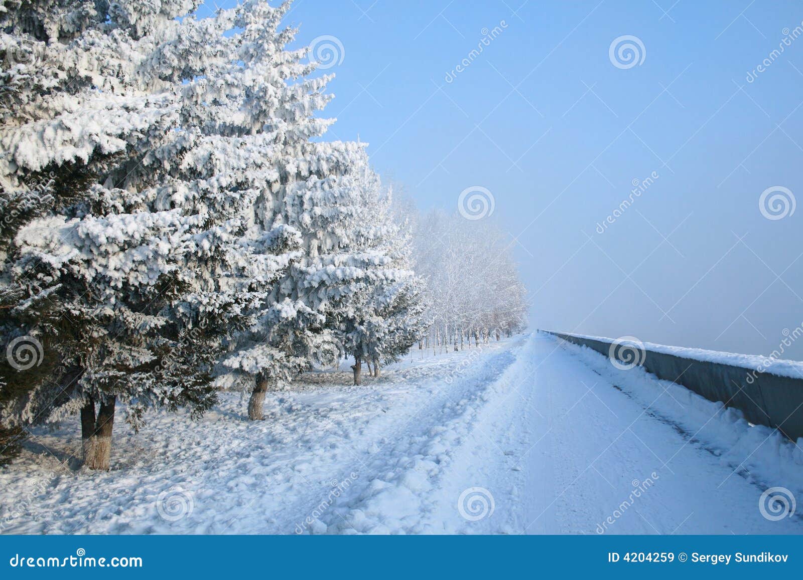 Snow-covered path stock image. Image of pine, barrier - 4204259