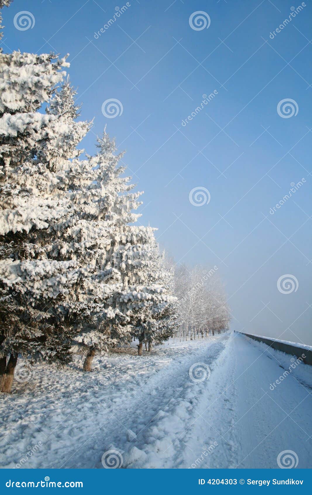 Snow-covered path stock image. Image of road, frost, slush - 4204303