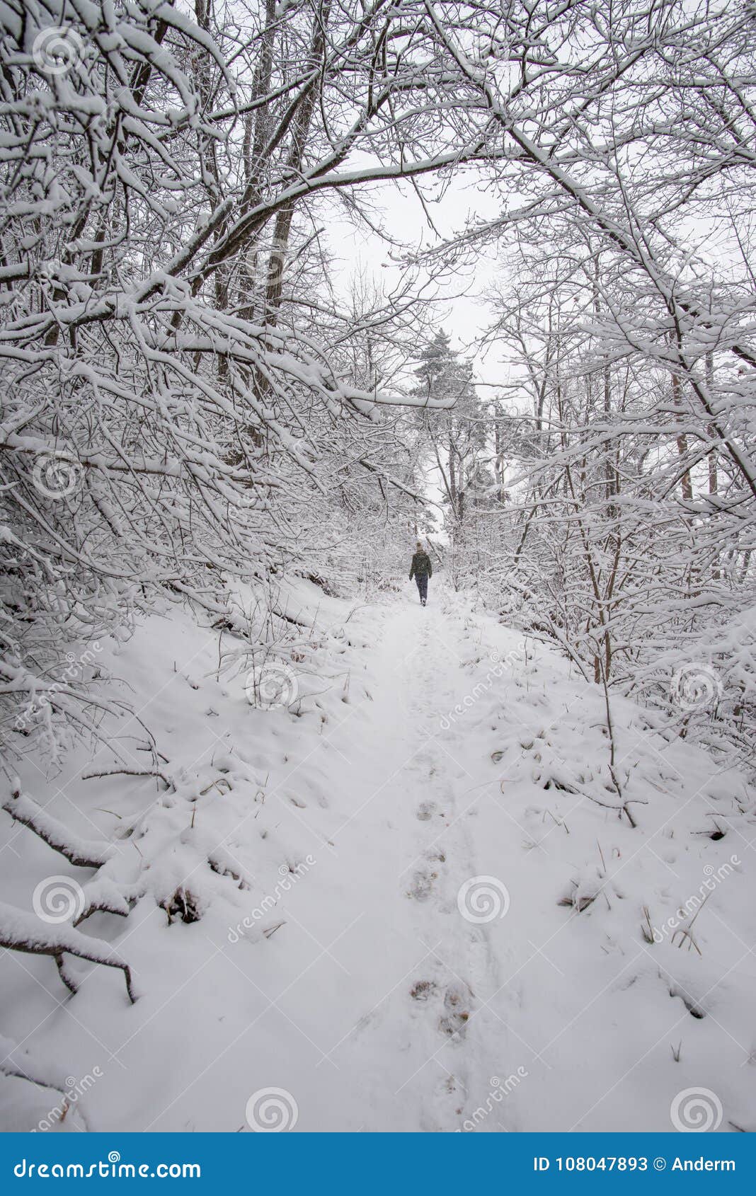 Snow covered path stock image. Image of snow, nature - 108047893