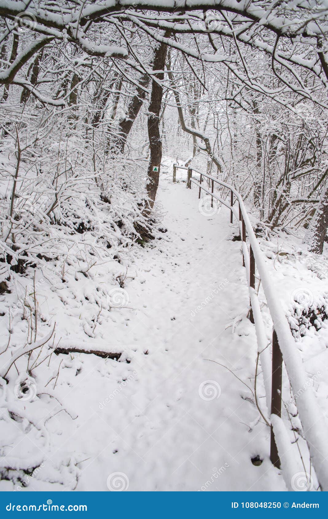Snow covered path stock photo. Image of outdoor, winter - 108048250