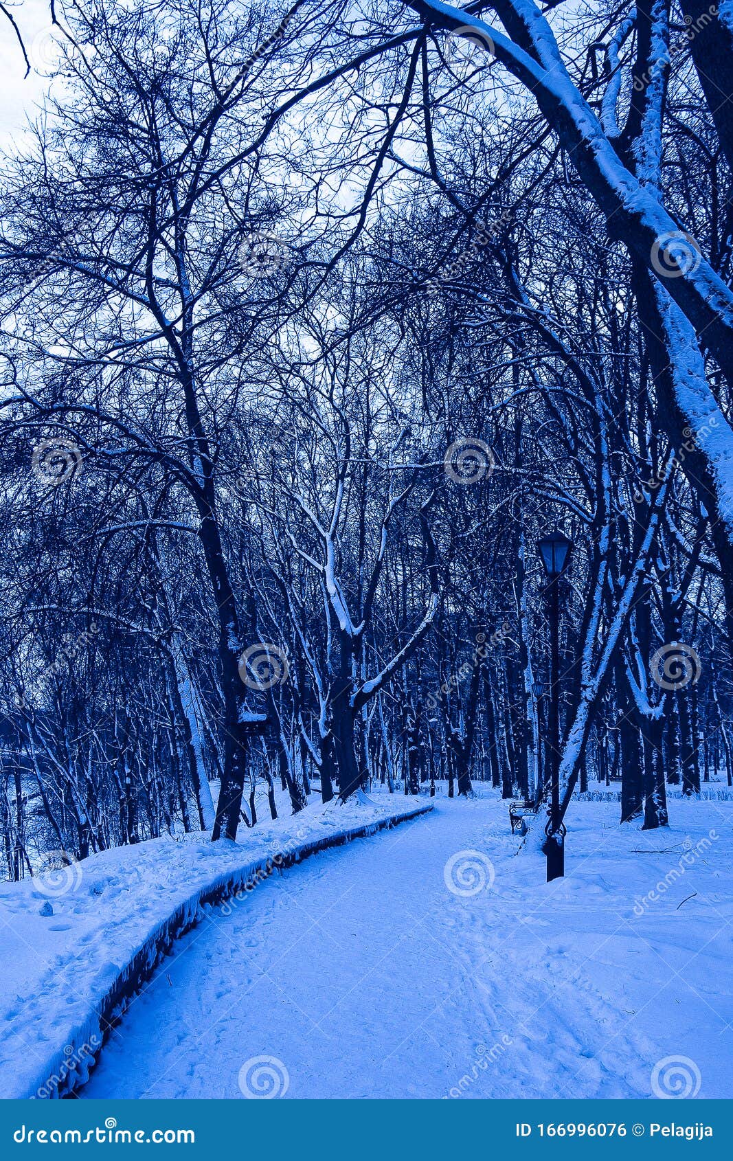 Snow Covered Path in the Park Stock Photo - Image of outdoor, footpath ...