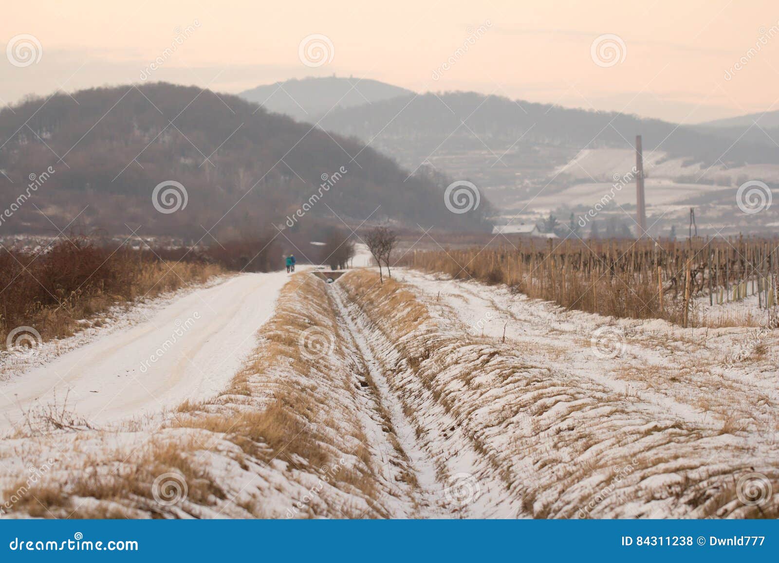 Snow Covered Path in Winter Countryside with Mountains in Background ...