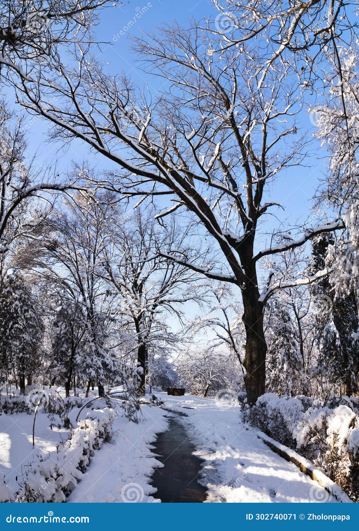 A Snow-covered Pathway in the Park Stock Image - Image of footprints ...