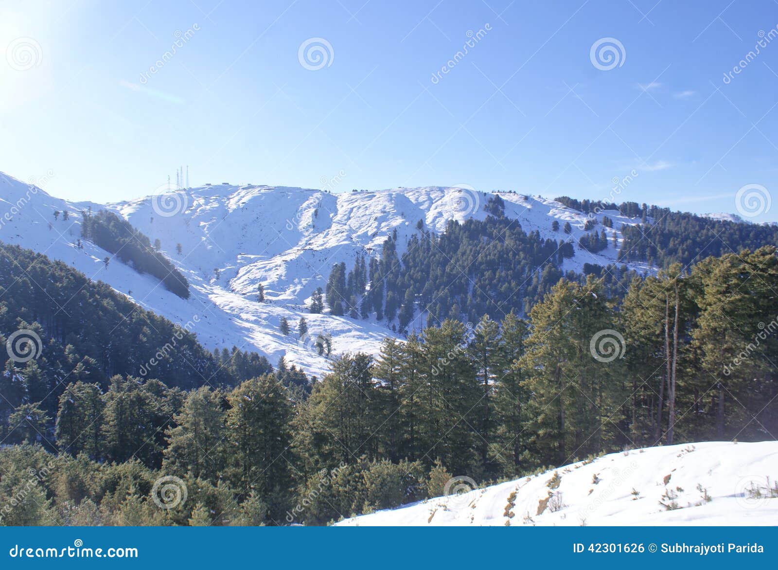 The Snow Covered Peaks of Himalayas at Patnitop with Pine Forests ...
