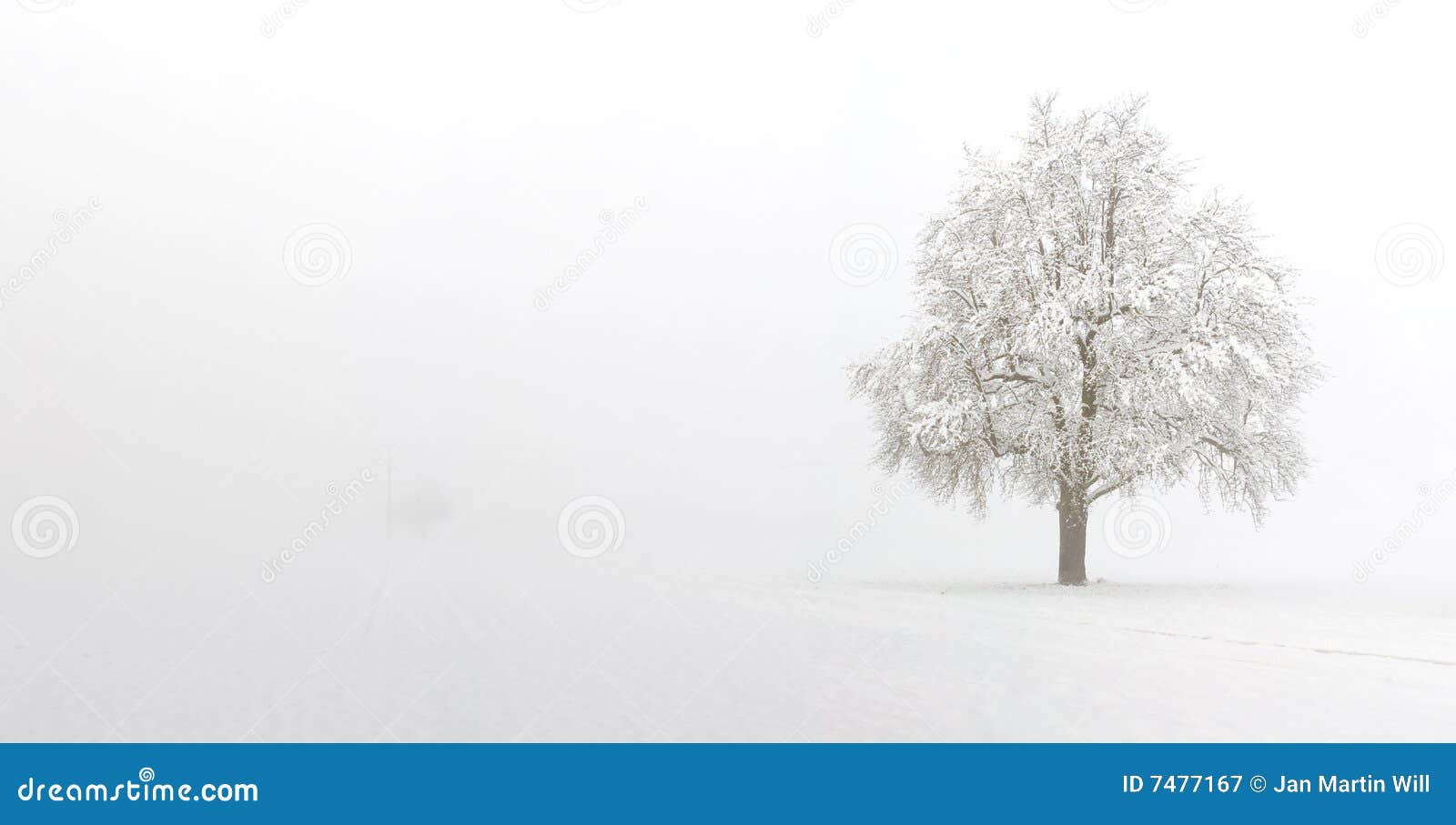 Snow covered pear tree stock image. Image of winter, bleak - 7477167