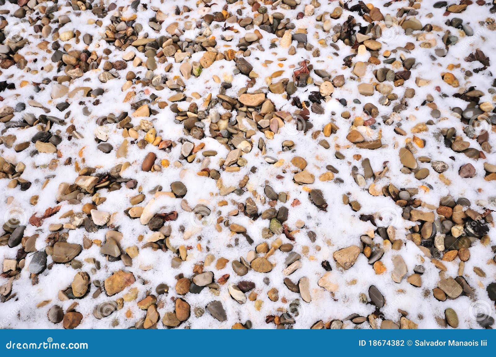 Snow-covered pebbles stock photo. Image of color, backgrounds - 18674382
