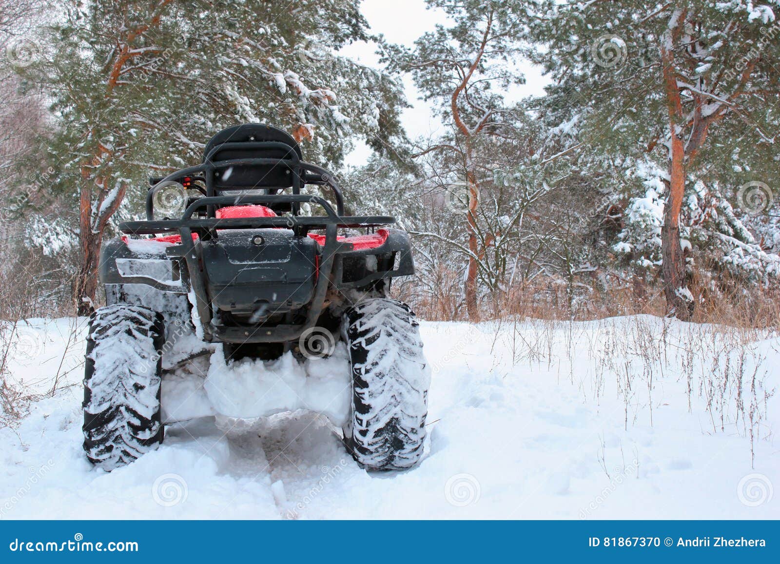 Snow Covered Quad Bike in Winter Forest Stock Photo - Image of ...