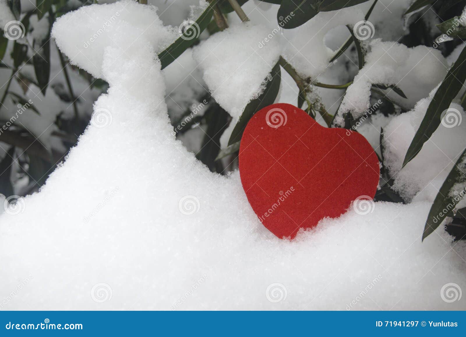 Snow-covered red heart stock image. Image of brightly - 71941297