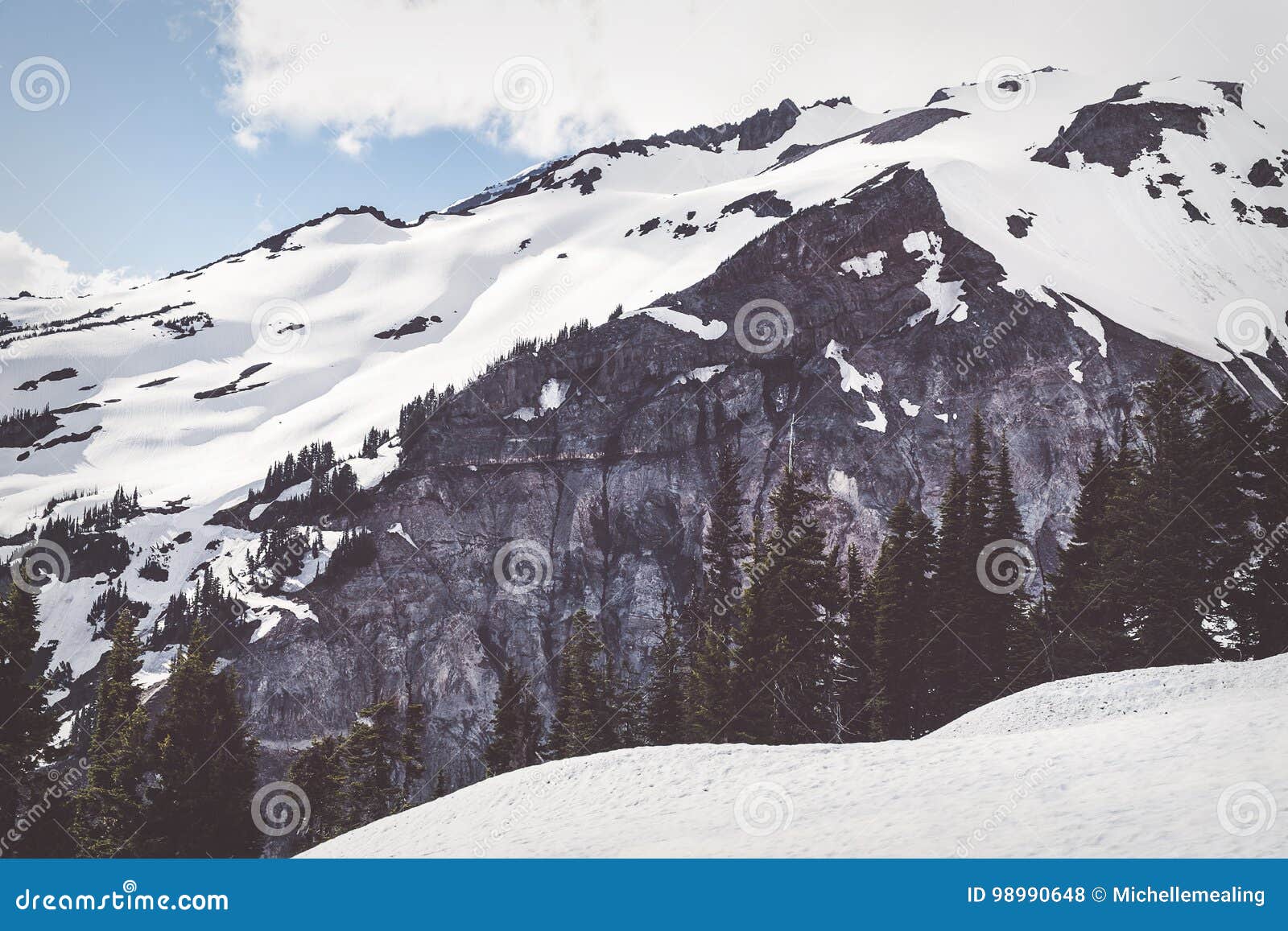 Snow Covered Ridge with Trees in the Foreground Stock Photo - Image of ...
