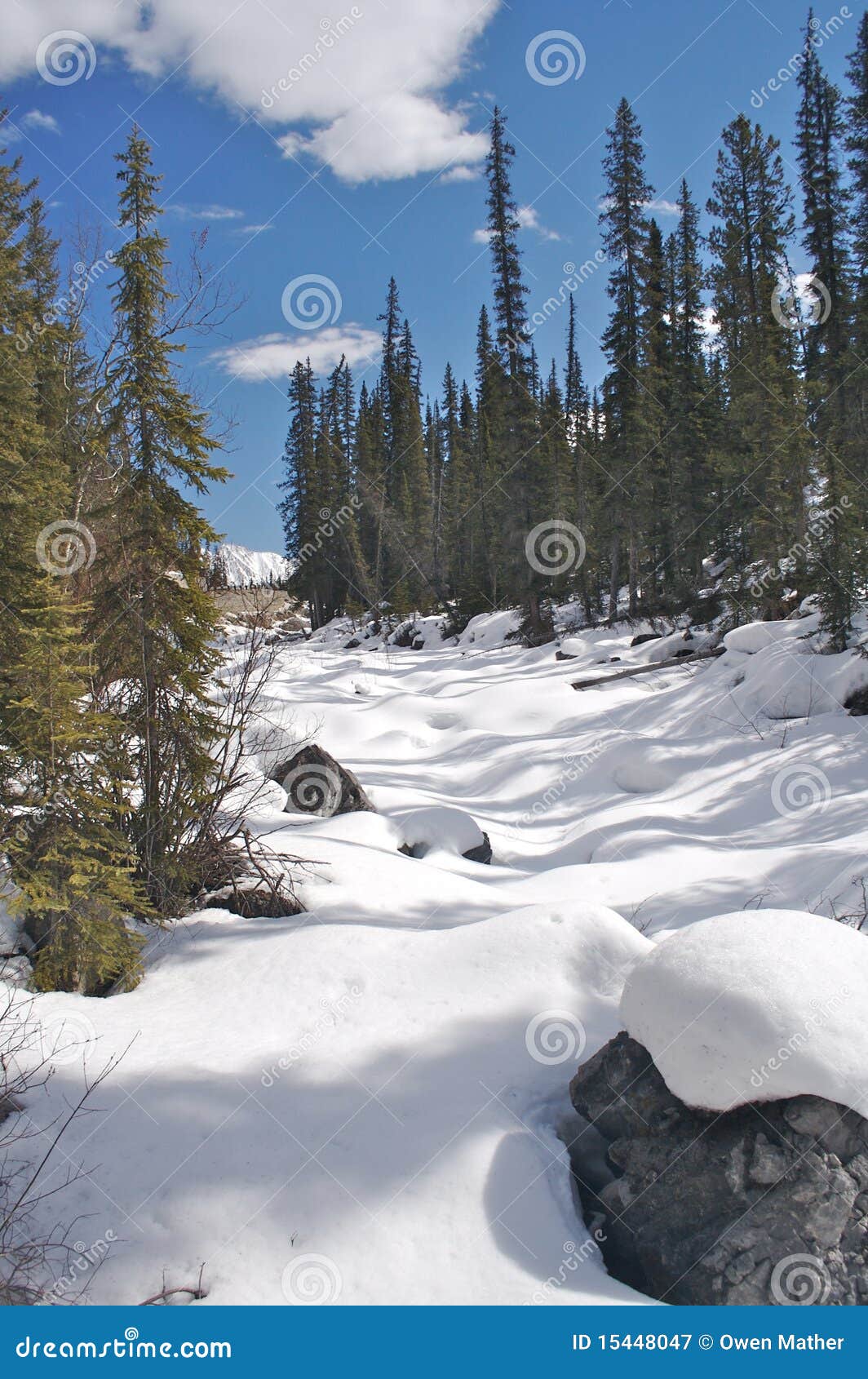 Snow Covered River stock image. Image of covered, cold - 15448047