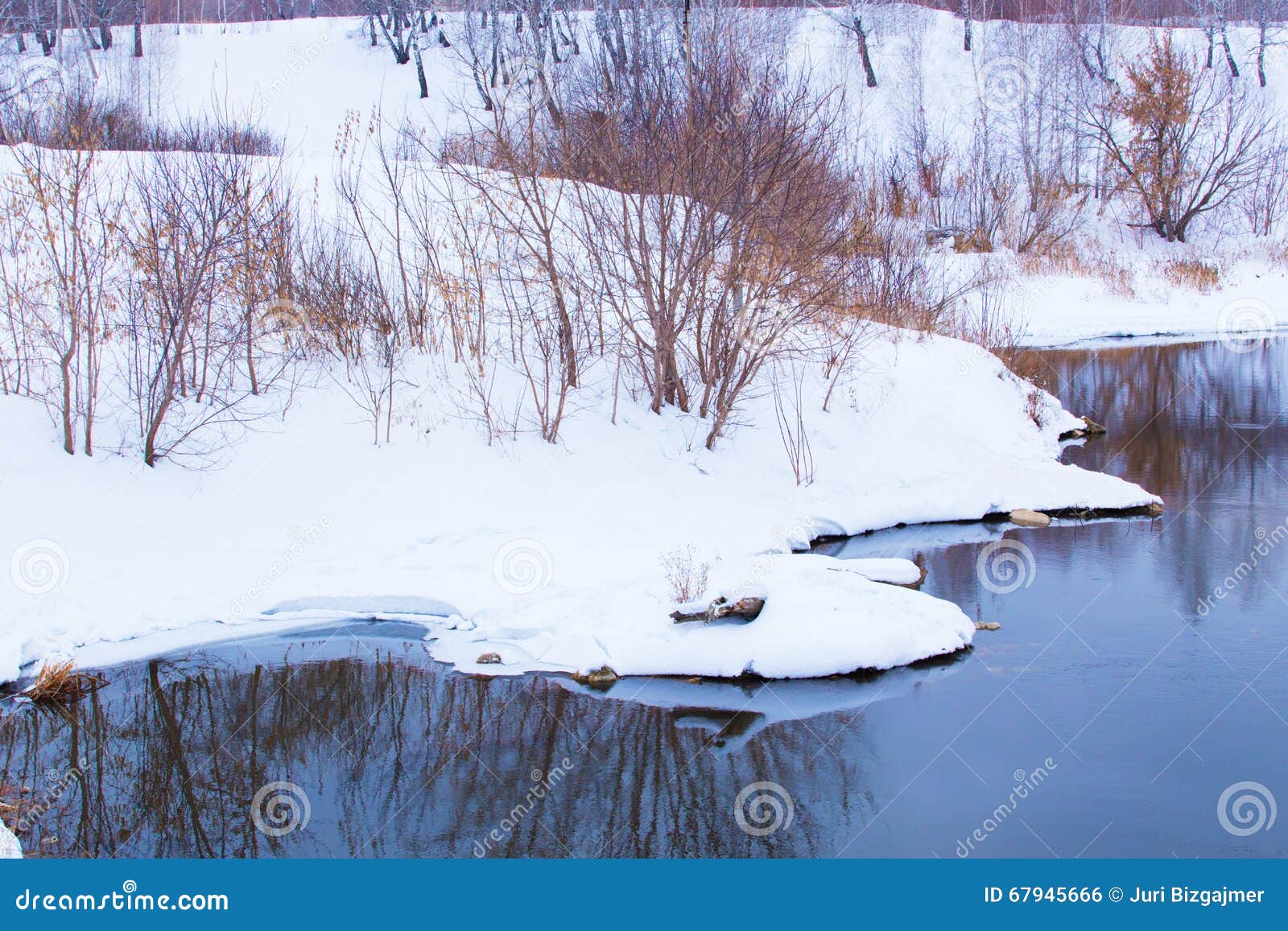 Snow-covered River Bank in Winter Stock Photo - Image of frost, branch ...