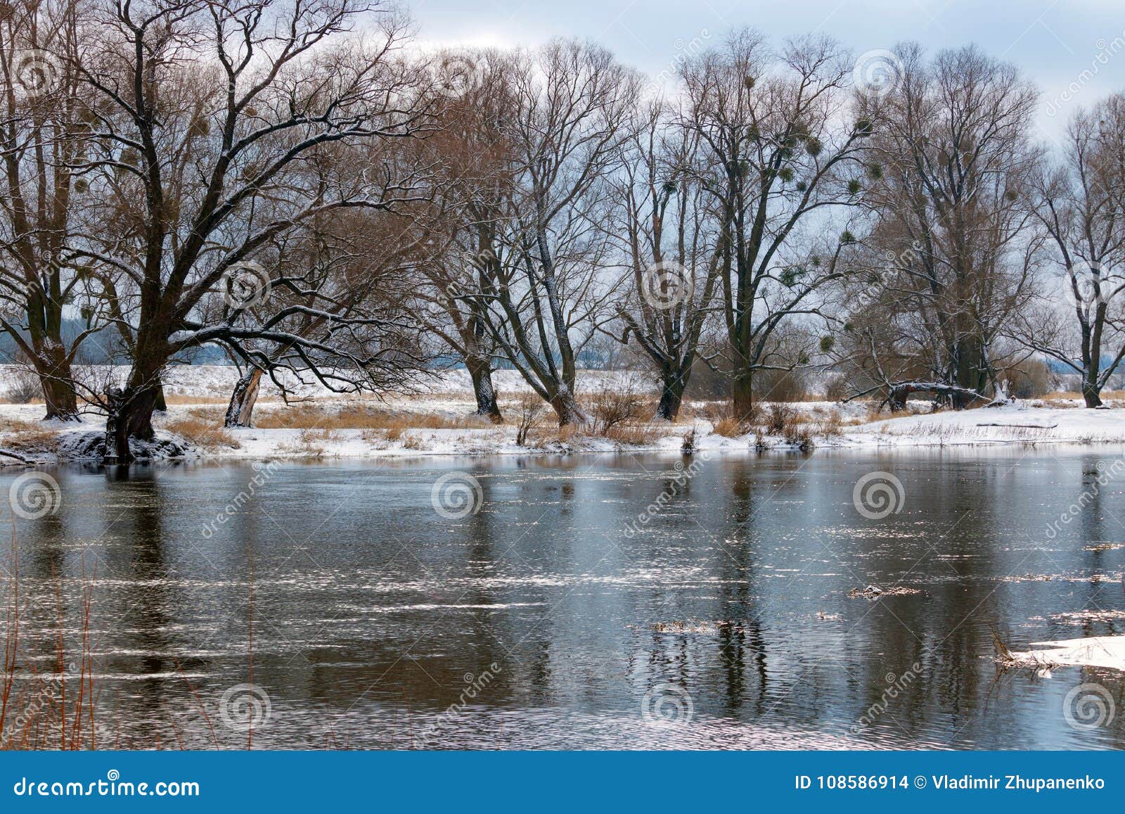 Snow-covered River Bank in Winter. Winter Landscape Stock Photo - Image ...