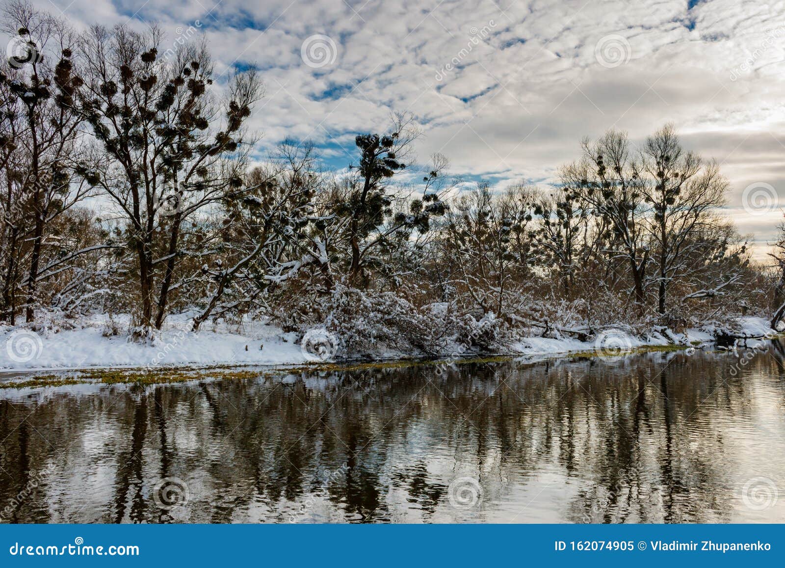 Snow Covered Riverside of Small River in Sunny Winter Day. Winter Trees ...