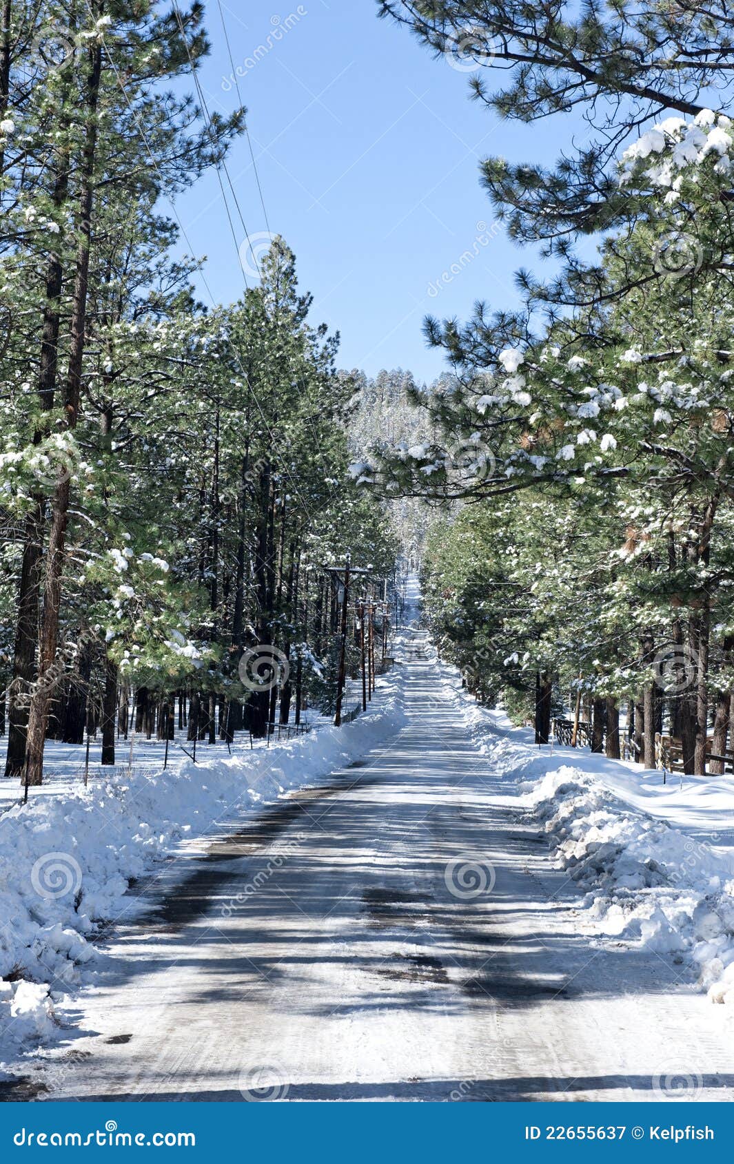 Snow covered road stock image. Image of highway, frost - 22655637