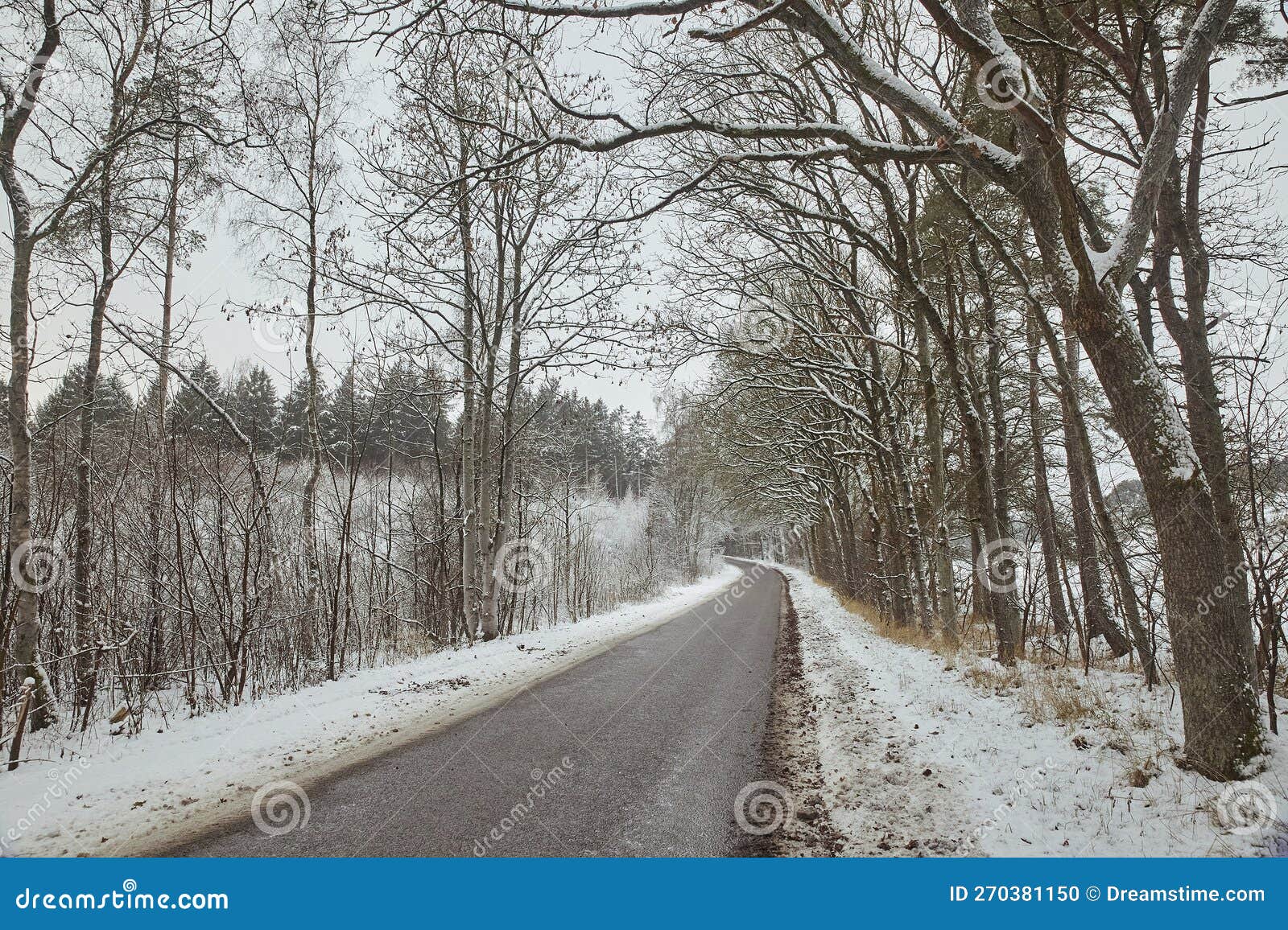 Snow Covered Road in Denmark. Winter Landscape Stock Photo - Image of ...