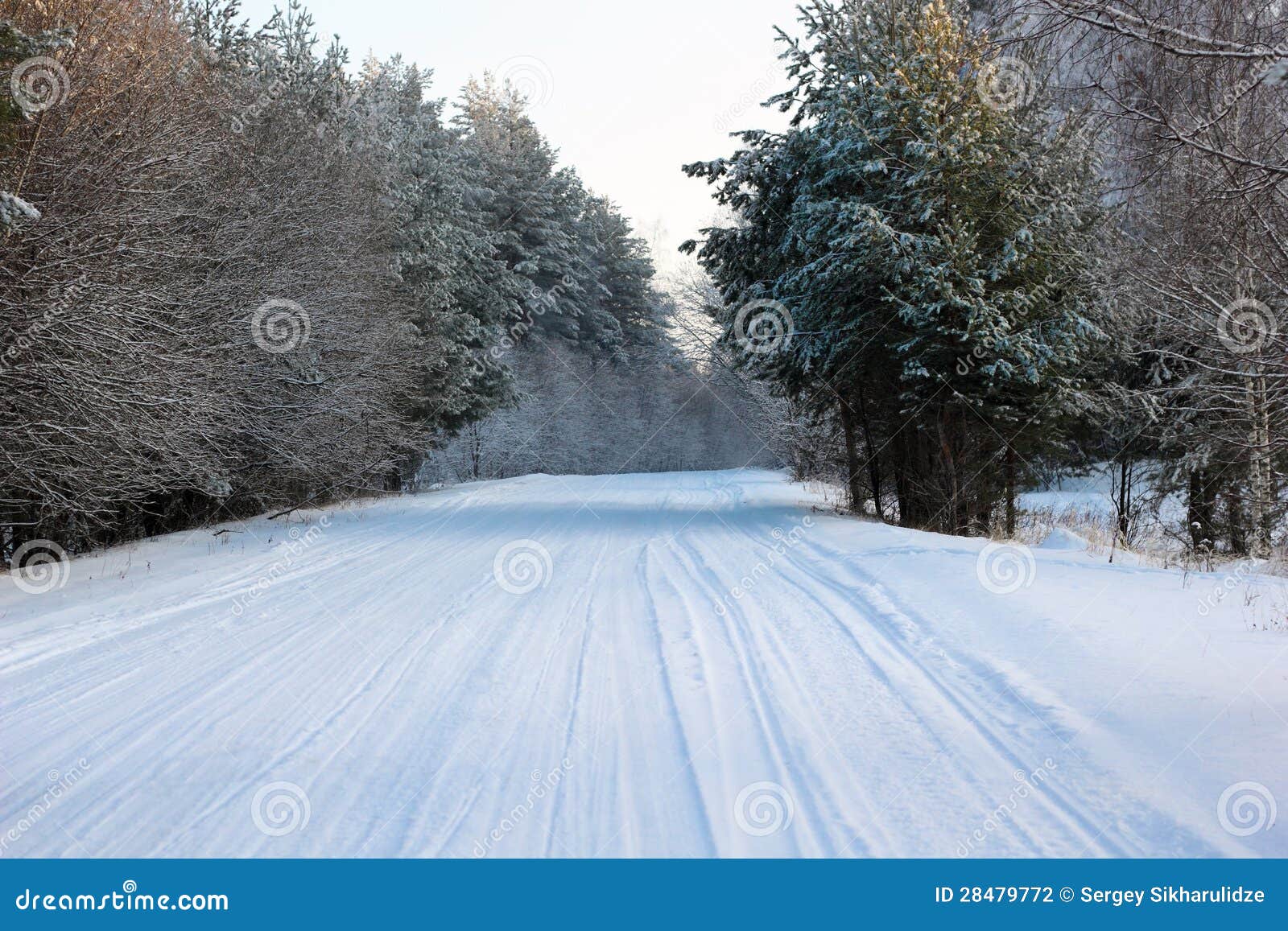 Snow-covered Road in the Forest Stock Photo - Image of outdoors, snowy ...