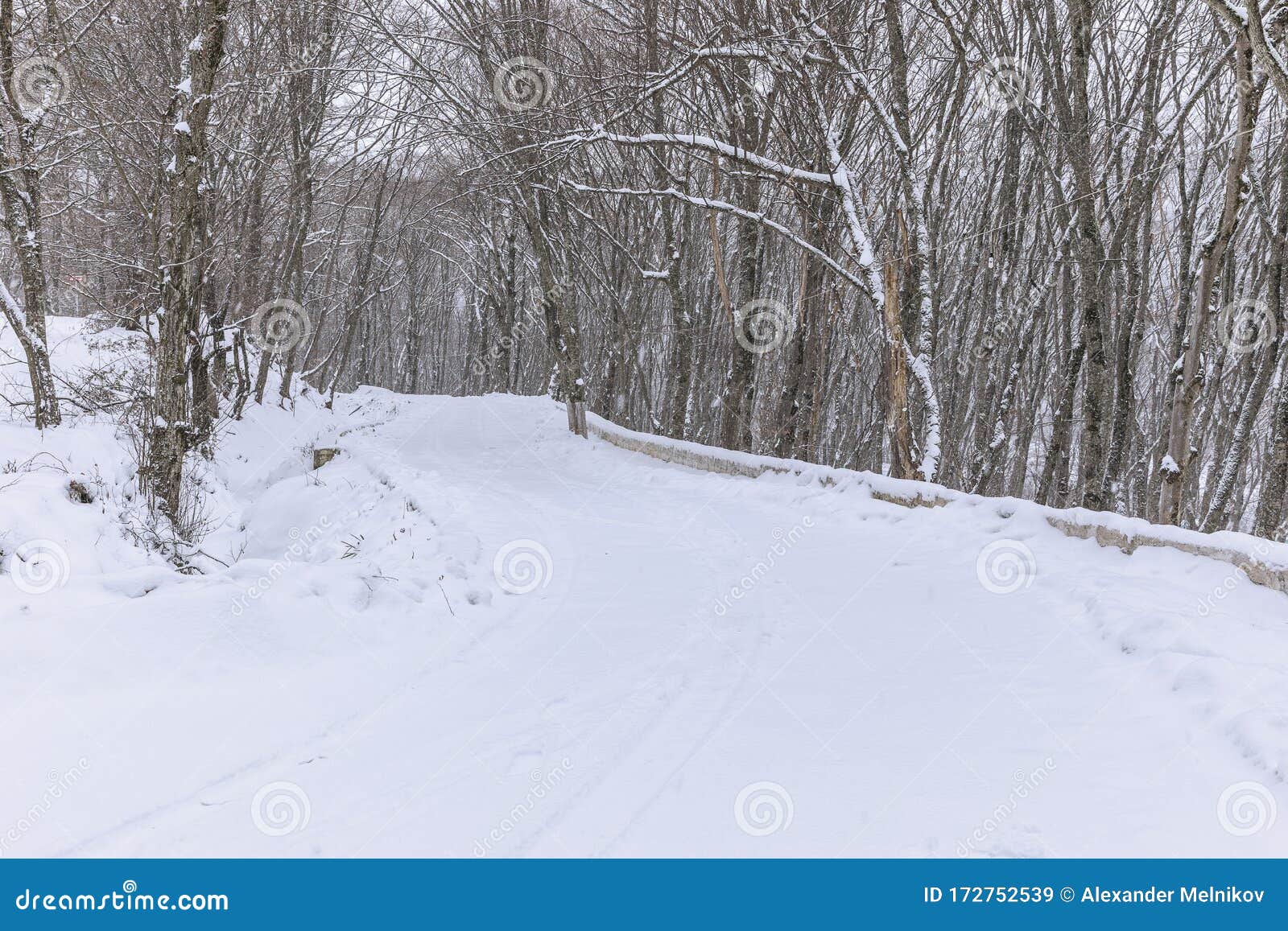 Snow Covered Road through a Forest Stock Image - Image of scenery ...