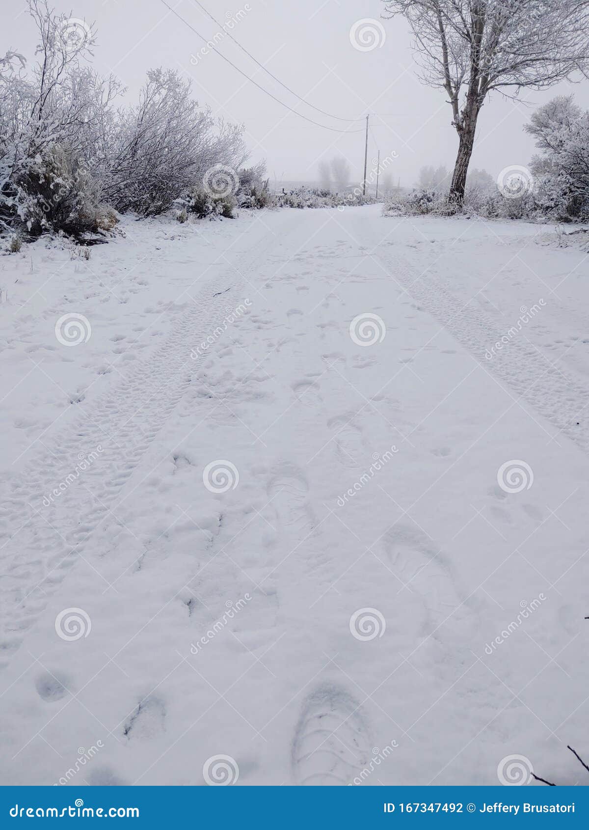 Snow Covered Road with Tracks Stock Photo - Image of white, pole: 167347492