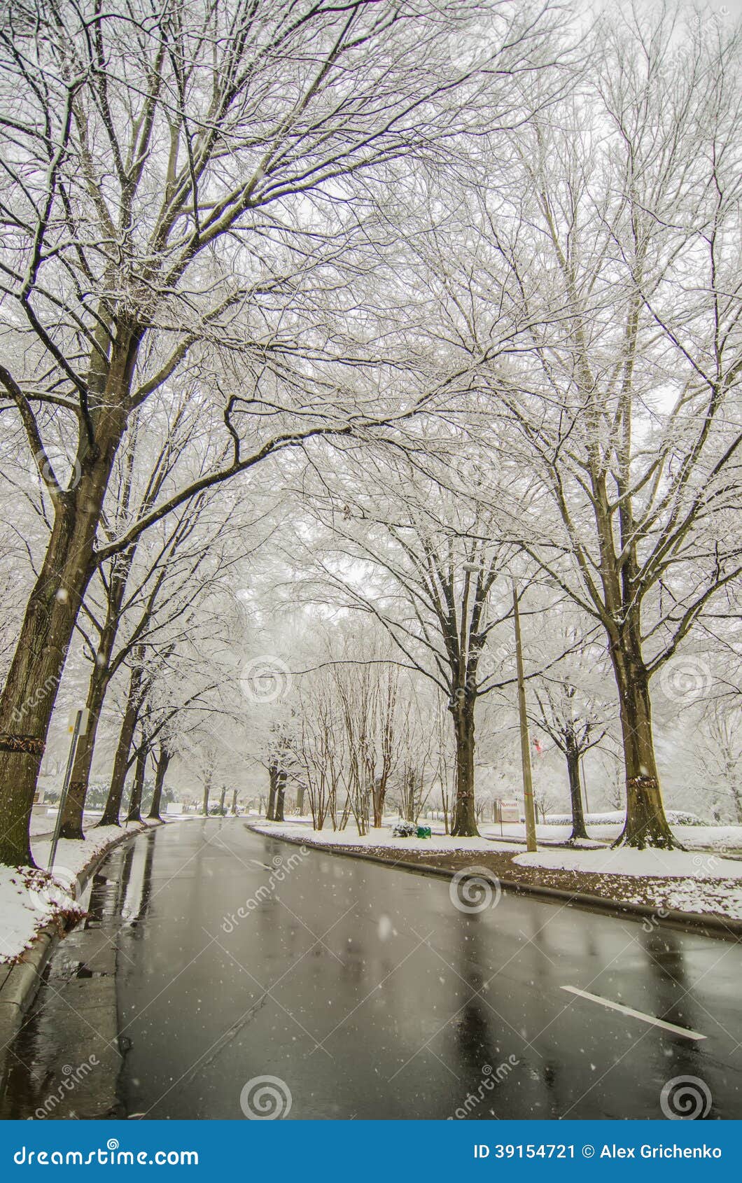 Snow Covered Road and Trees after Winter Storm Stock Image - Image of ...