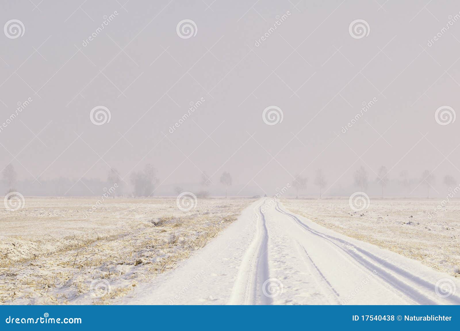 Snow Covered Road in Winter Stock Photo - Image of landscape ...