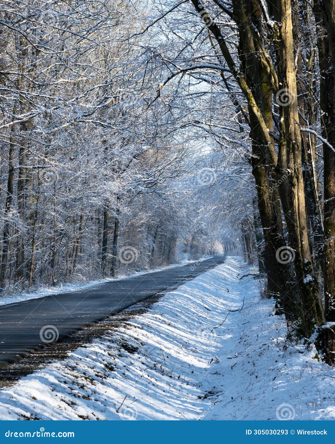 Snow-covered Road in a Wooded Area with Trees Stock Image - Image of ...