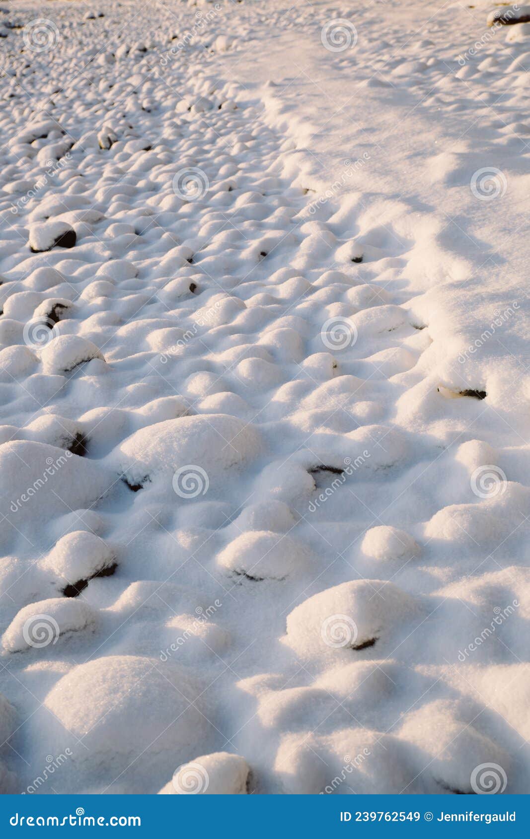 Snow Covered Rocks Texture, Bumpy Soft Snow Texture Stock Image - Image ...