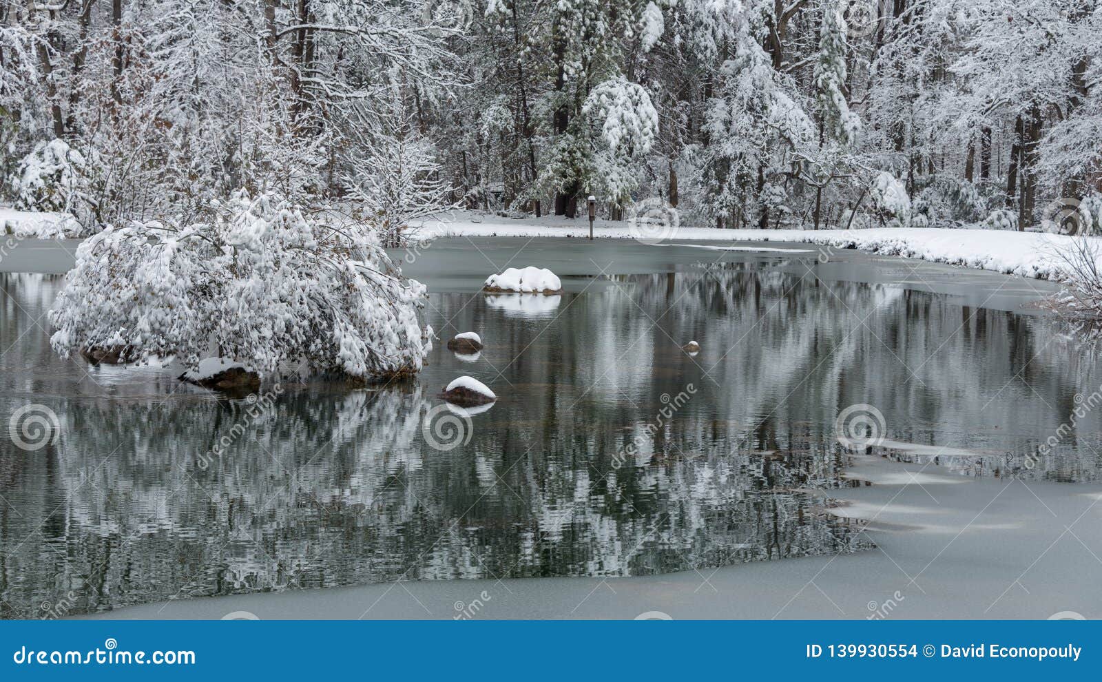 Snow Covered Rocks and Trees in Pond Stock Photo - Image of rock, tree ...