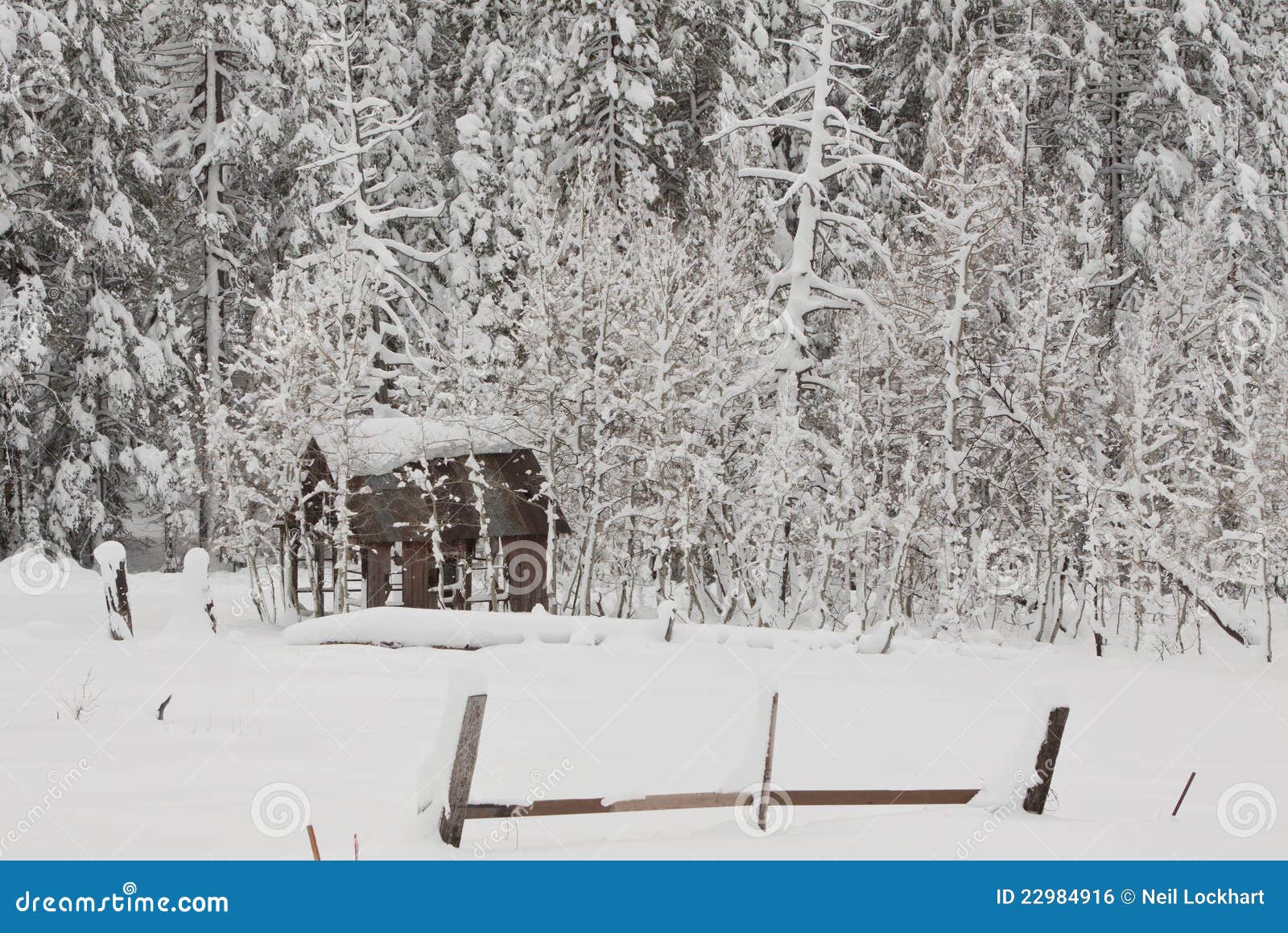 Snow Covered Shack stock photo. Image of building, cabin - 22984916