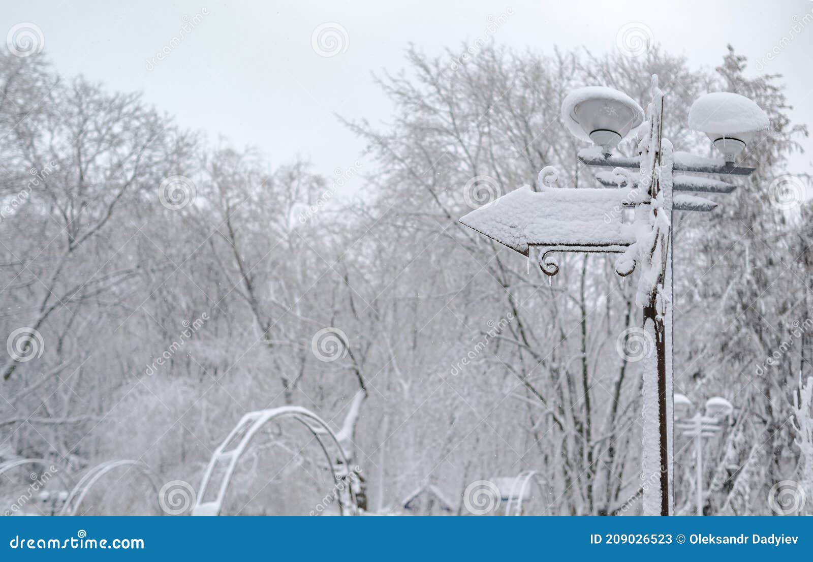 Snow-covered Signpost with a Lantern on the Background of Trees in the ...