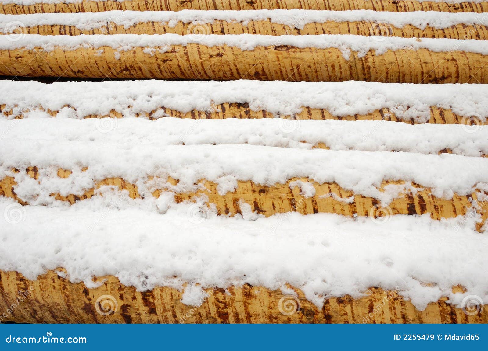 Snow covered stack of logs stock image. Image of trunk - 2255479