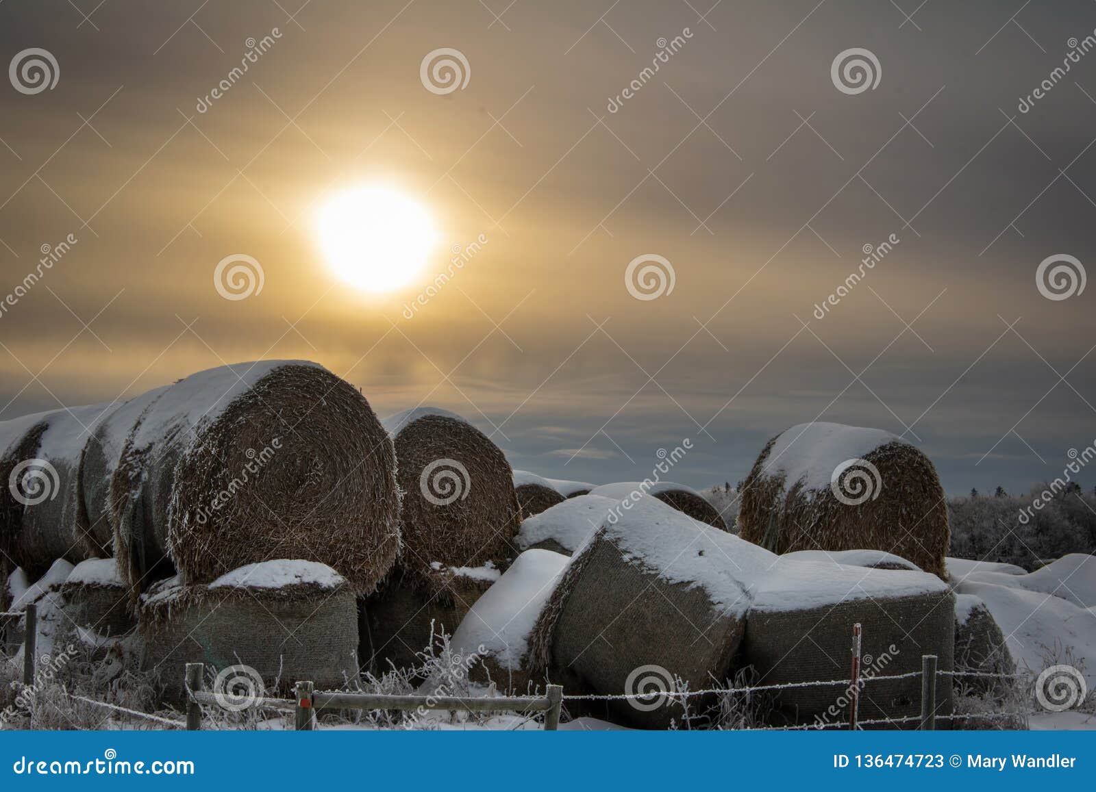 Snow Covered Stack Round Bales of Hay in a Farmers Field Stock Image ...