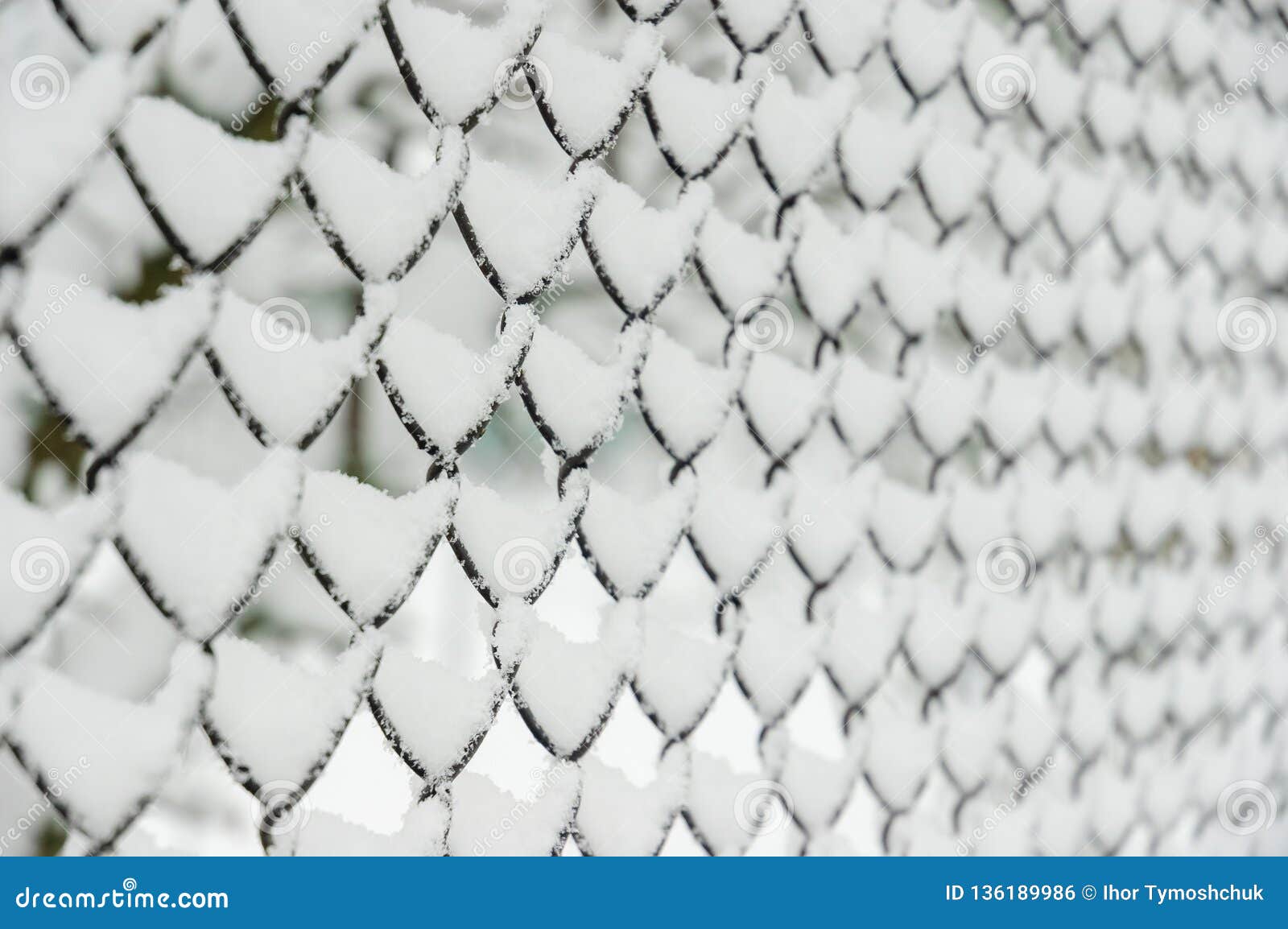 Snow-covered Steel Mesh Fence Stock Photo - Image of seasonal, farm ...