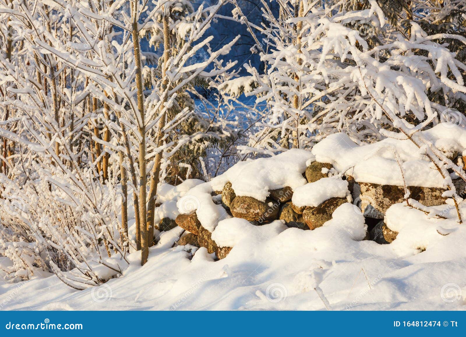 Snow Covered Stone Wall in Winter Stock Photo - Image of landscape ...