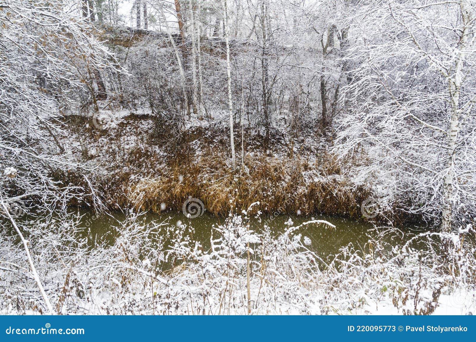 Snow-covered Stream Bank. Snowfall Stock Image - Image of clear, frozen ...