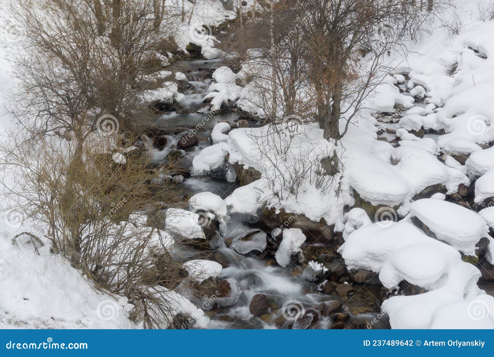 A Snow Covered Stream in the Forest Stock Photo - Image of evergreen ...