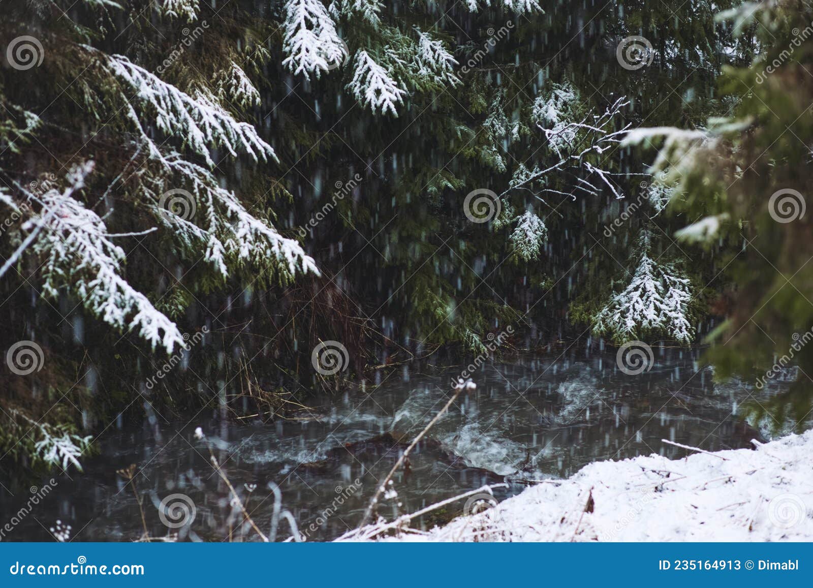 A Snow Covered Stream in the Forest Stock Image - Image of cold ...