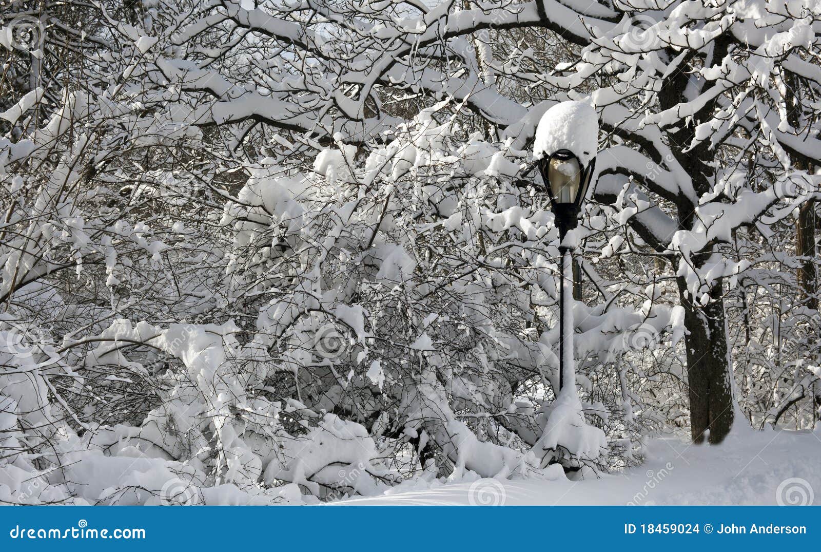Snow covered street lamp stock photo. Image of frozen - 18459024