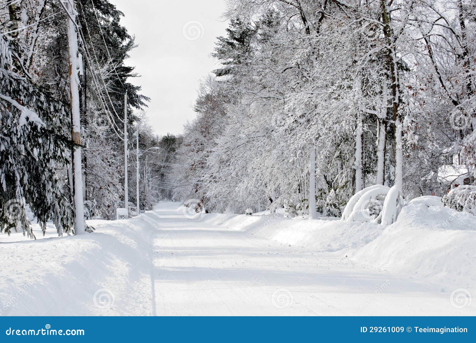 Snow Covered Woodsy Suburban Road after Storm Stock Image - Image of ...