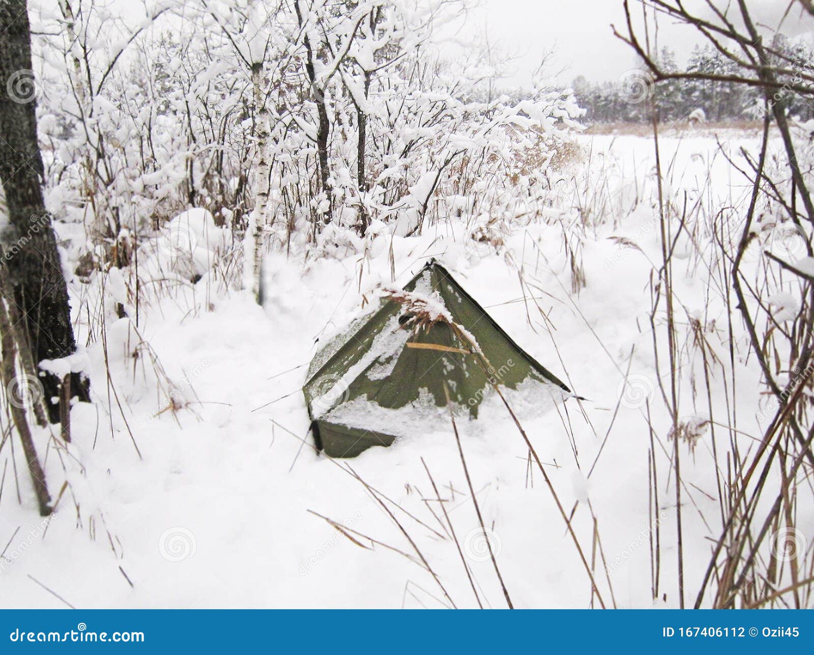 Snow-covered Tent in the Woods Stock Photo - Image of googlebing ...