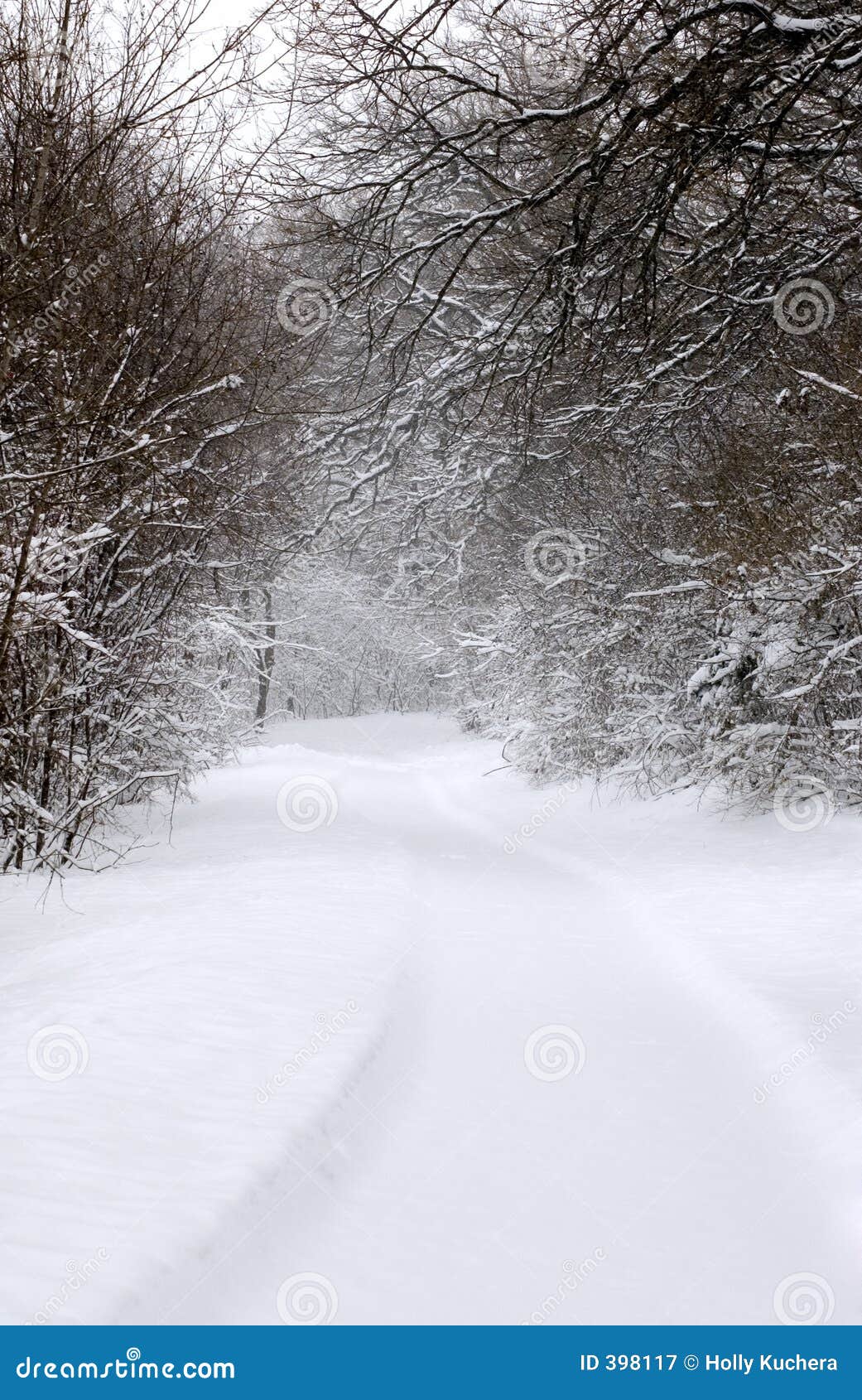 Snow Covered Trail 1 stock image. Image of hike, active - 398117