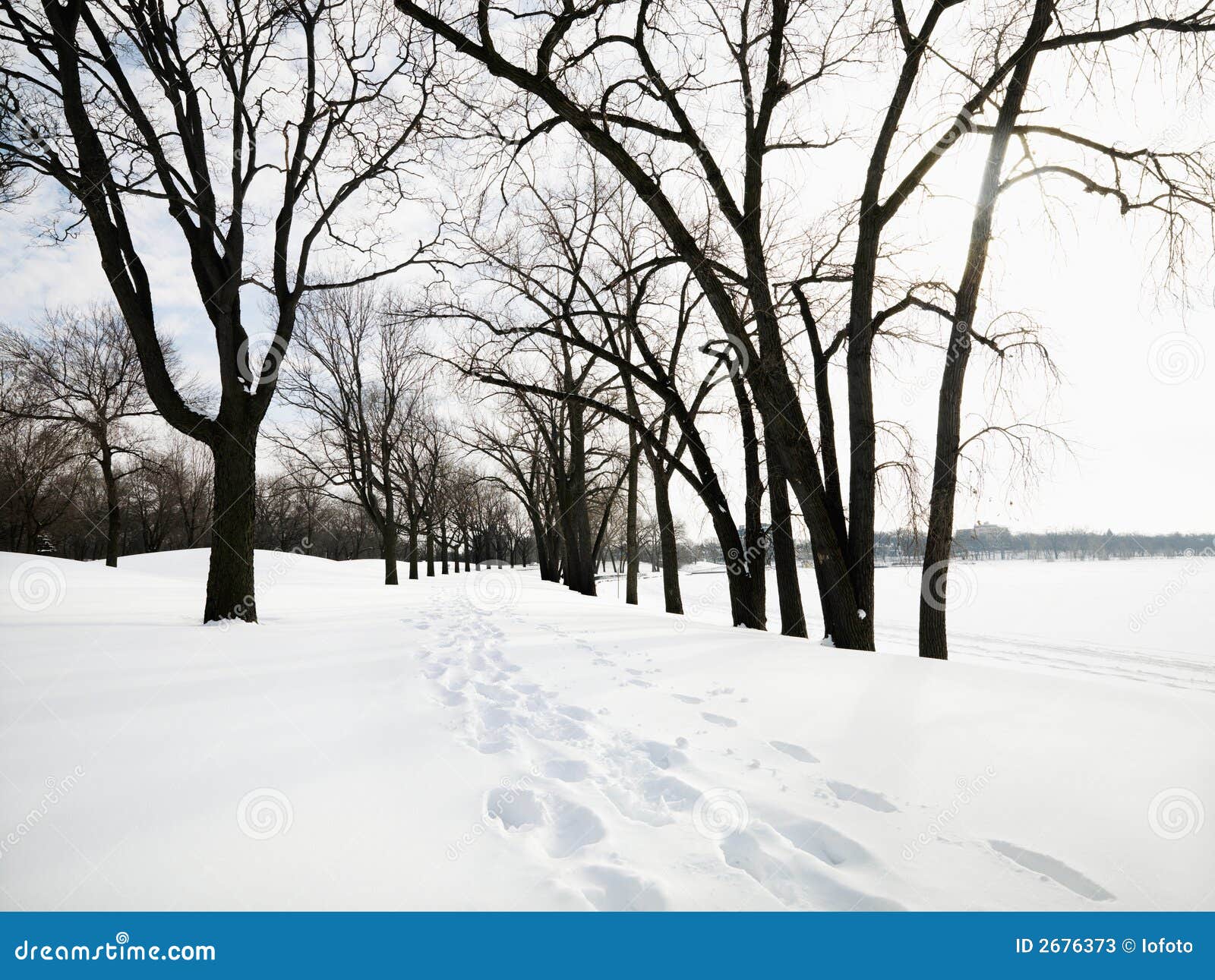 Snow covered trail. stock image. Image of park, scenic - 2676373