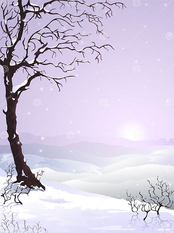 Snow-covered tree stock vector. Illustration of clipart - 3705567