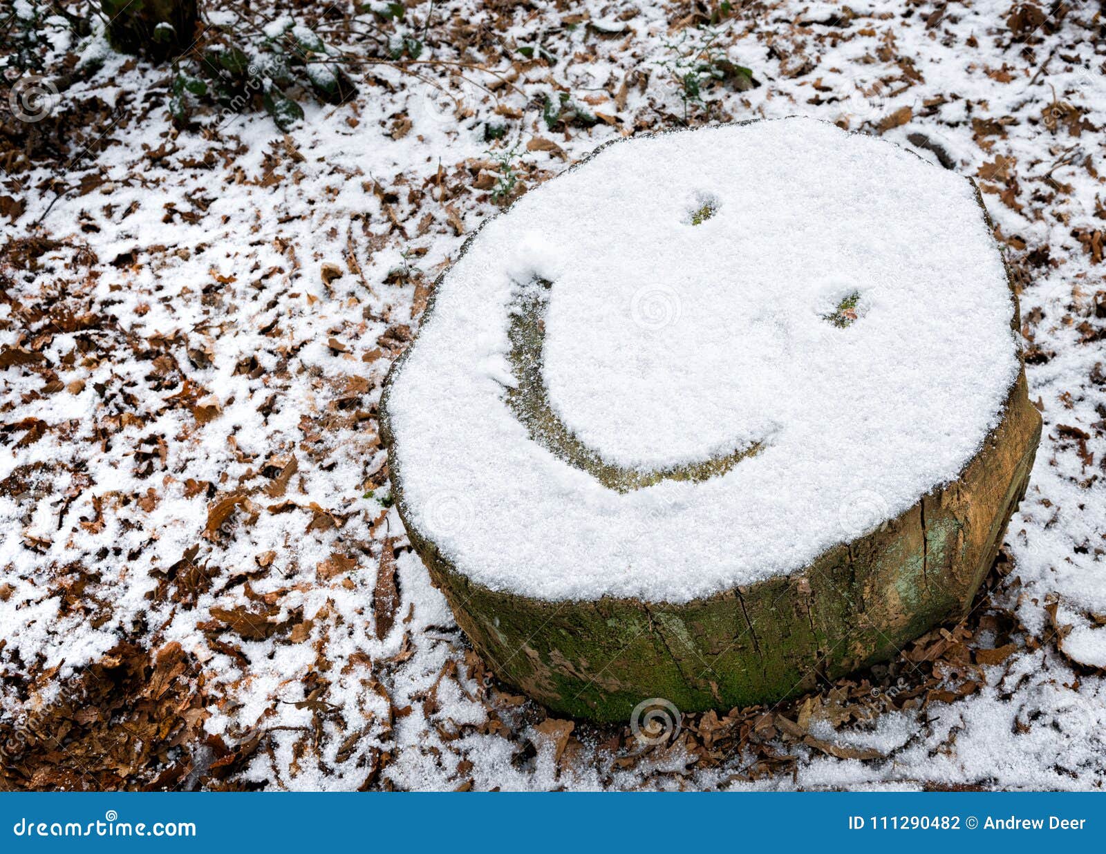 Snow Covered Tree Stump with Smiley Face Emoji Stock Photo - Image of ...