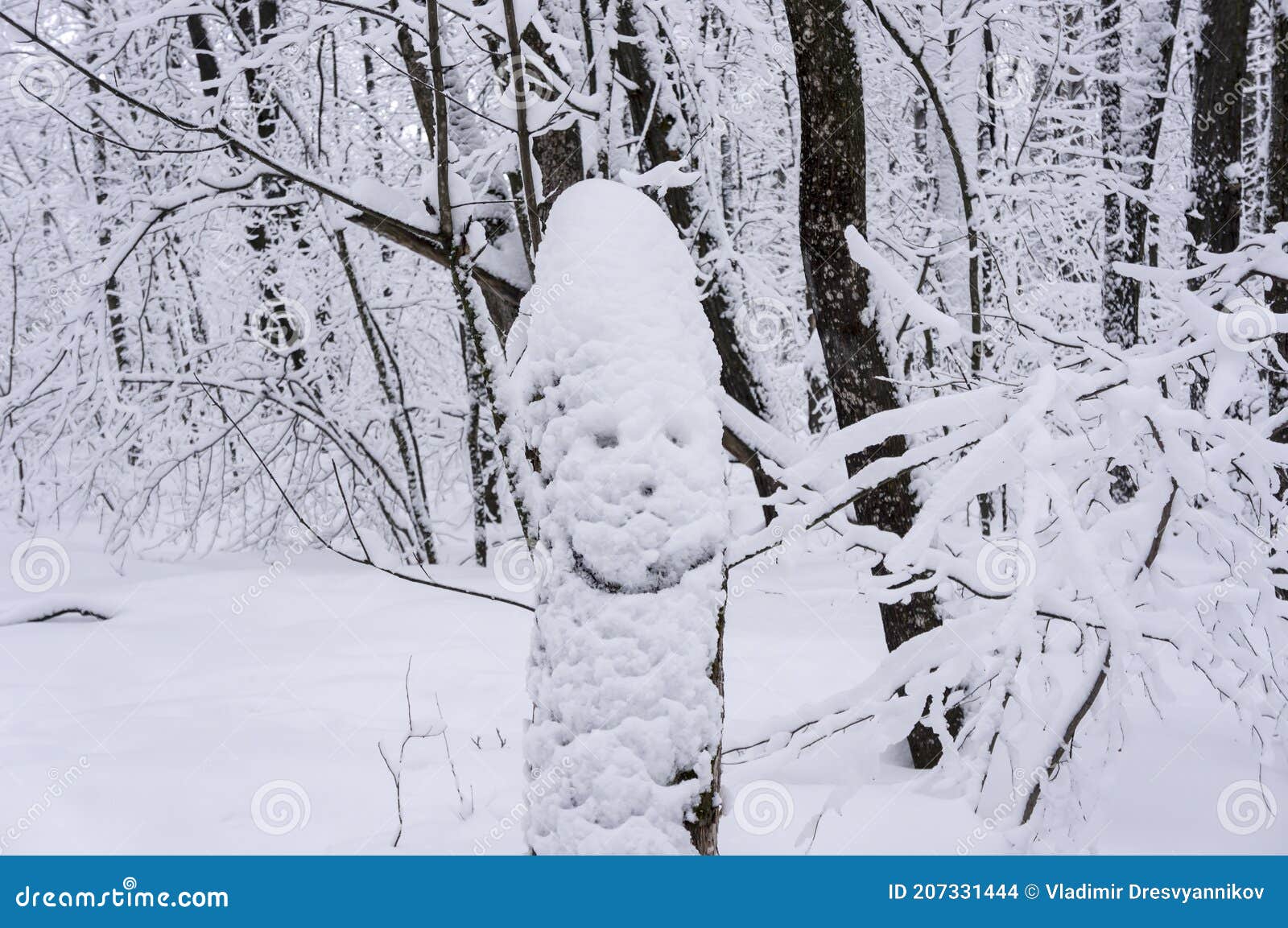 A snow covered tree trunk stock photo. Image of face - 207331444