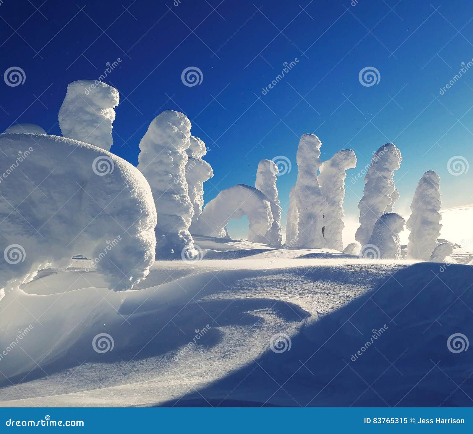 191 Winter Snow Pow Stock Photos - Free & Royalty-Free Stock Photos ...