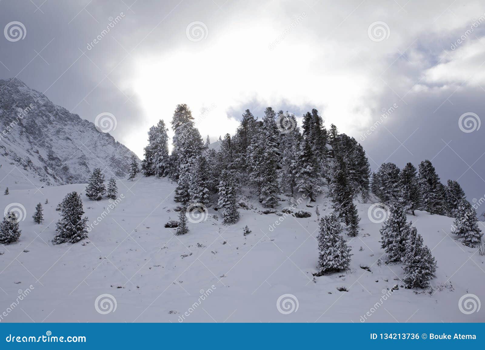 Snow Covered Trees in the Austrian Alps Mountains. Stock Photo - Image ...