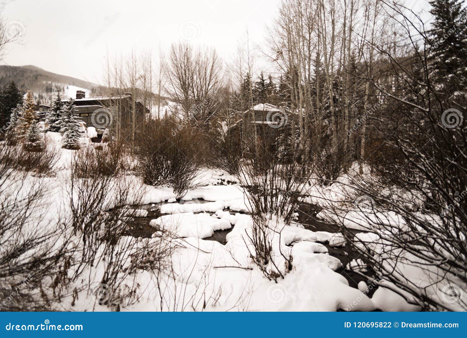 A Snow Covered Landscape in Vail, Colorado during Winter. Stock Photo ...